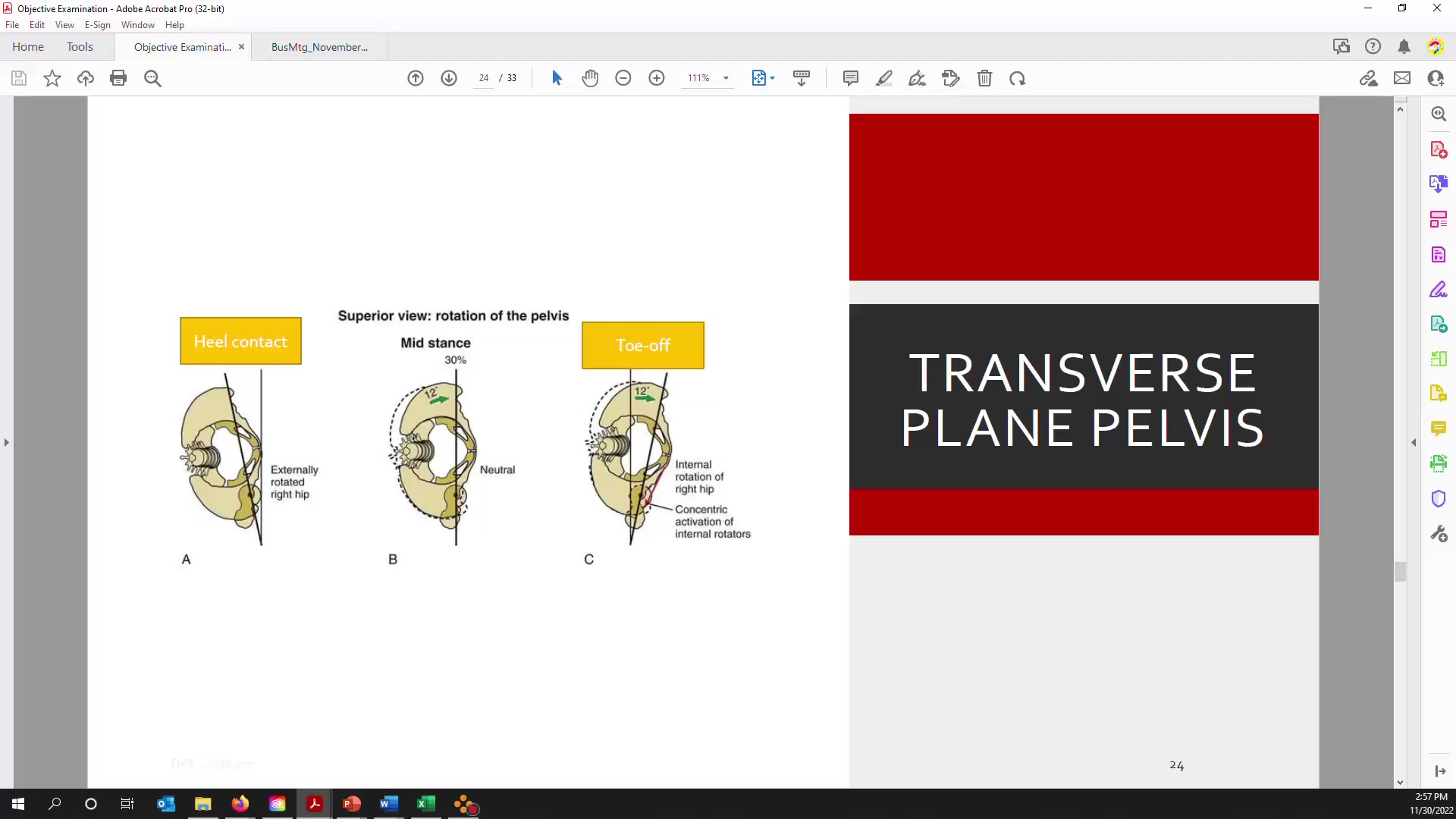 Gait- Transverse Plane motion of the Pelvis abd Hip